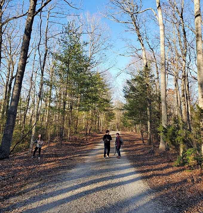 Walking trails where the only traffic jam involves deciding which beautiful path to take next, honestly.