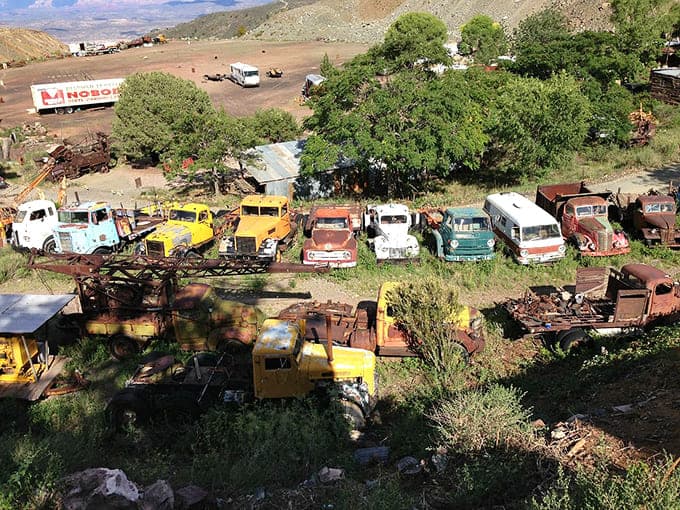 Vintage trucks rest in colorful retirement, creating an automotive graveyard that's oddly beautiful and photogenic.