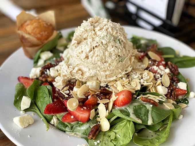 A fresh salad topped with chicken salad that proves Josie's does more than just breakfast brilliantly well.