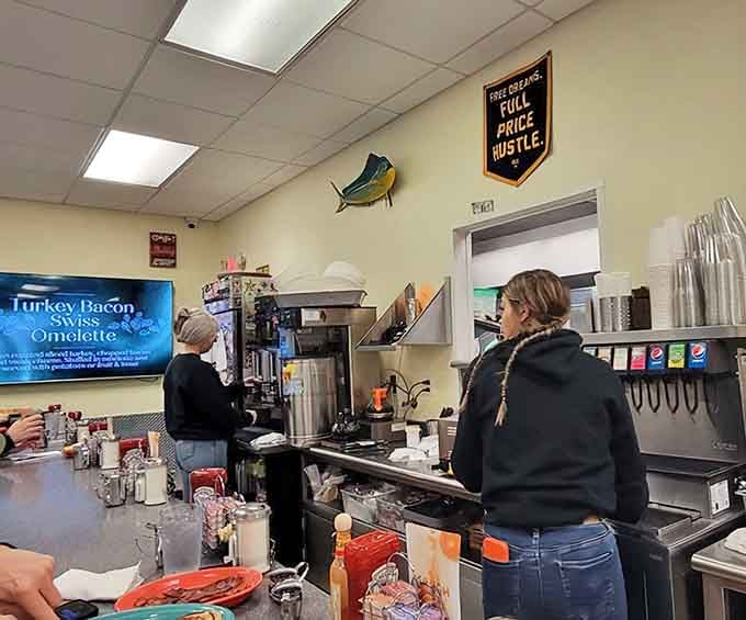 The open kitchen hums with activity while that mounted fish watches over everything like a breakfast-loving guardian angel.