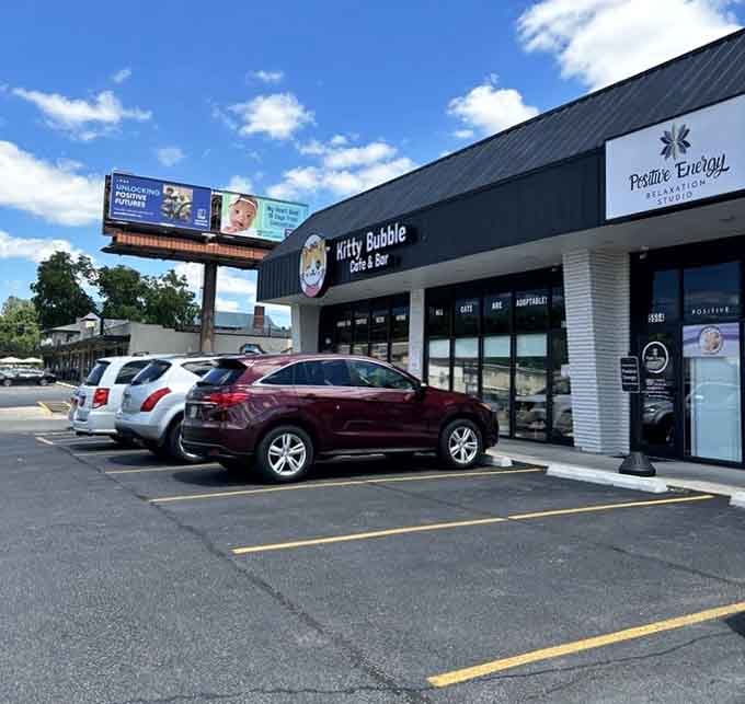 Plenty of parking means you won't miss your reservation because you circled the block seventeen times looking for spots.