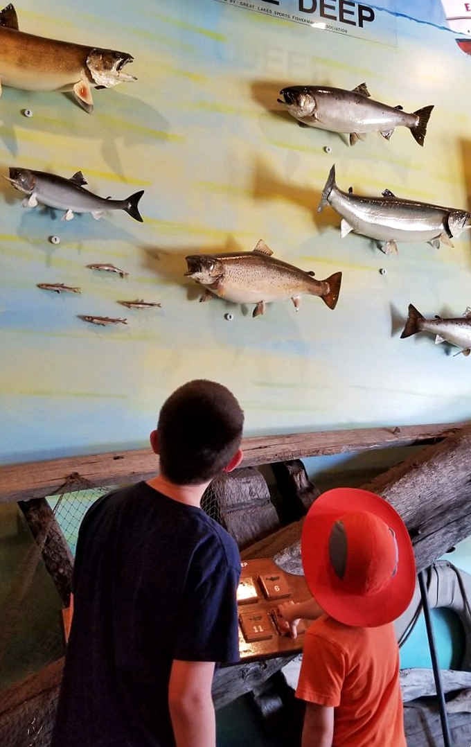 Inside the nature center, local fish species get their moment of fame on the wall of aquatic celebrities.