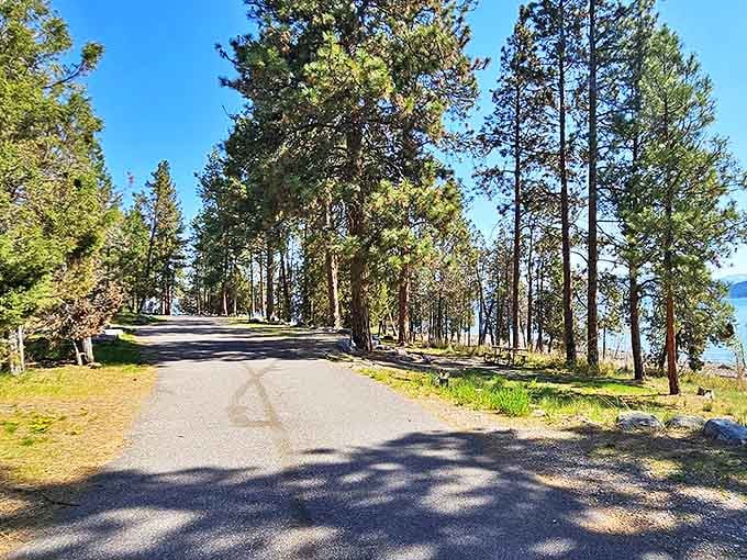 The road less traveled sometimes has pine needles and spectacular lake views. This winding path through the ponderosas promises both.