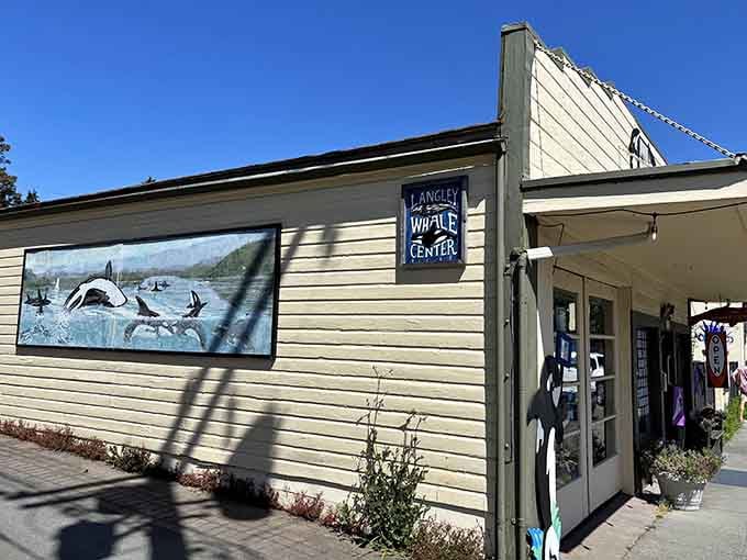 Langley Whale Center educates visitors about our marine neighbors, because knowing whales makes life infinitely more interesting.