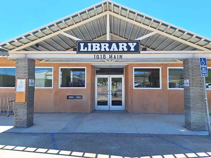 The public library welcomes readers without making you feel guilty about that overdue book from 2019.