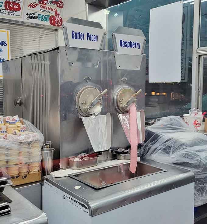 The custard machines churning out butter pecan and raspberry, working harder than most of us ever will in our lives.