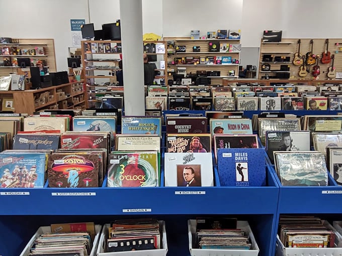 Vinyl records fill the bins, offering everything from classic rock to jazz for serious audiophiles and casual listeners.