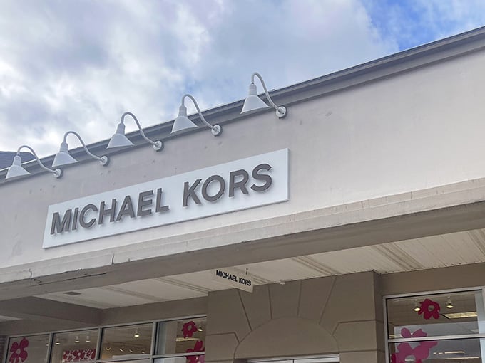 Michael Kors beckons with the promise of designer handbags that won't require selling your actual kidneys to afford.