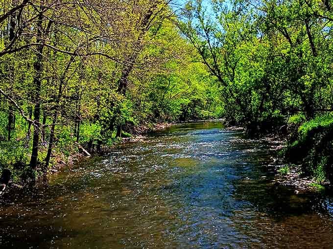 The South Branch Root River flows peacefully through the park, part of the water system that created Mystery Cave.