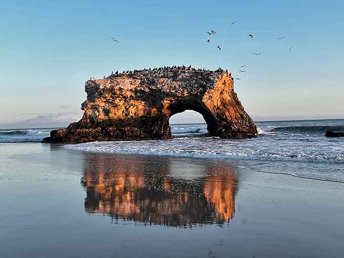 The bridge glows orange at dusk, surrounded by birds who've clearly figured out the best commute ever.