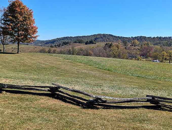 Rolling hills stretch endlessly, offering the kind of views that make you forget your phone exists.
