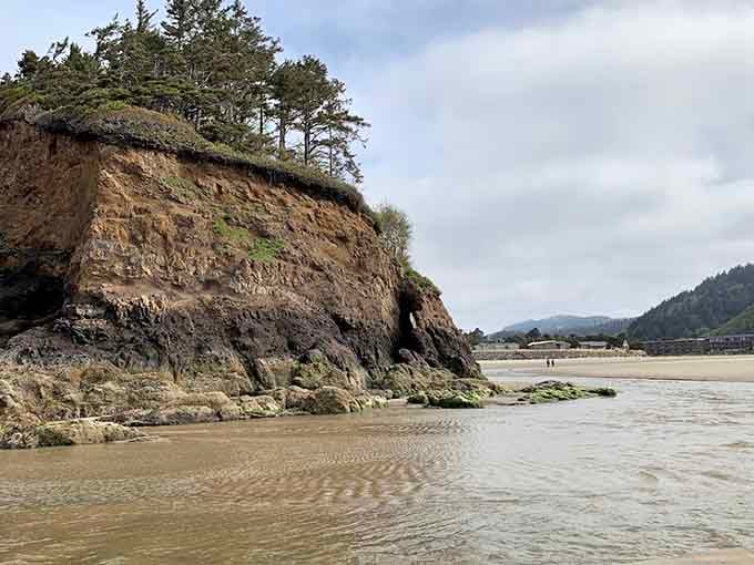 Dramatic cliffs frame the ghost forest, creating a composition that landscape painters dream about nightly.