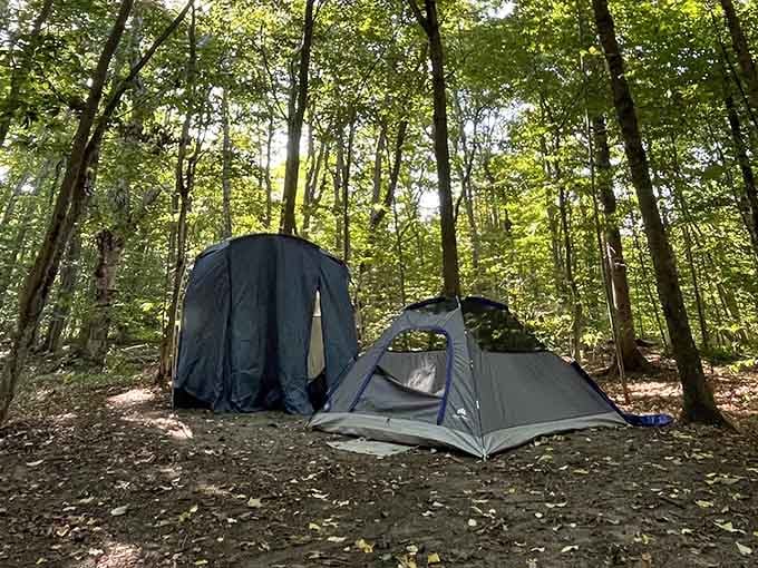Your bedroom for the night, where the ceiling is infinite and the alarm clock chirps.