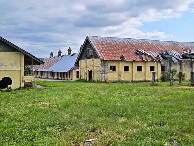 Grass grows where tractors once rumbled, proving nature always gets the last word in these conversations.