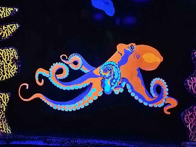This octopus radiates more personality than most people you'll meet at the grocery store checkout.