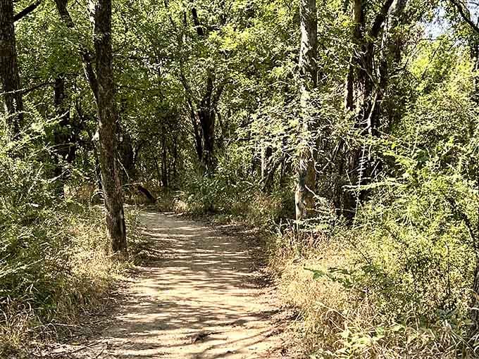 The trail leading to the bridge winds through woods that look peaceful now but feel different after dark.