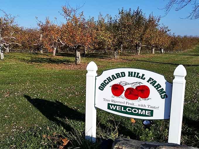Orchard Hill Farms reminds us that the best apples come from places where farmers still know their customers.