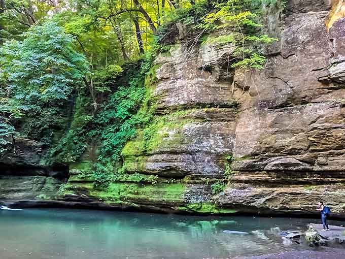 Inside Illinois Canyon, emerald moss clings to layered rock walls above crystal-clear pools of impossibly blue water.