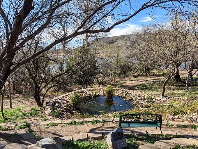 This peaceful pond spot proves that sometimes the best seats in Arizona don't require reservations or fighting crowds.