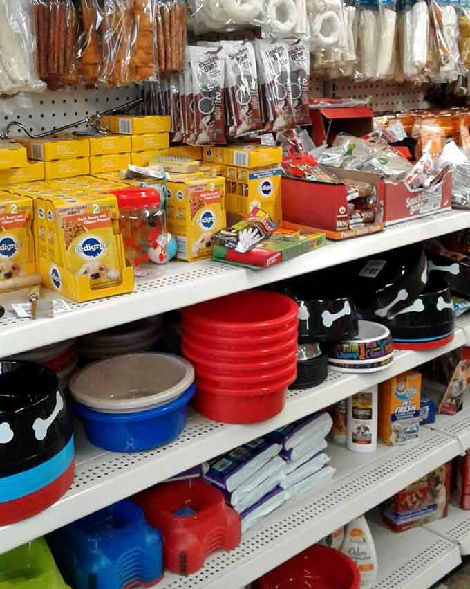 Pamper your pets without emptying your pockets. Fido and Fluffy won't know you saved enough for your own treats too.