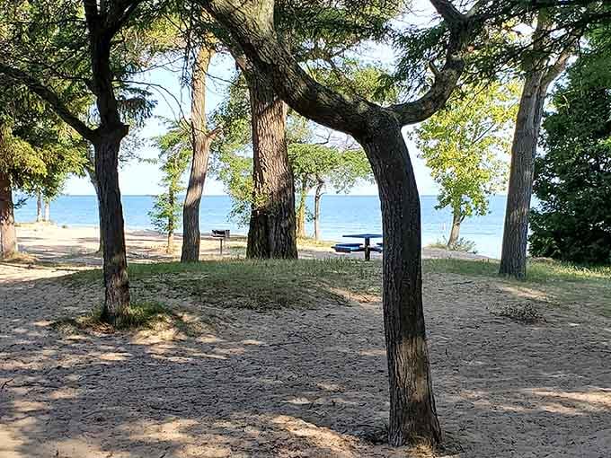 Shaded picnic spots overlook the water, creating the perfect setting for sandwiches that taste better with this view.