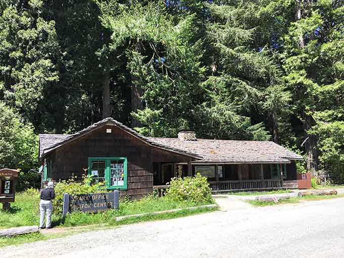 The visitor center: your gateway to maps, information, and rangers who really, really love talking about trees.