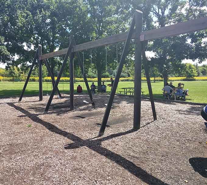 Swings suspended from timber frames that look like they could support a small elephant, built for serious soaring.