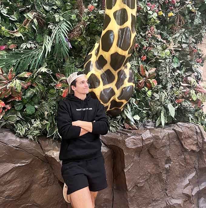 Standing beneath a giraffe while contemplating lunch choices is surprisingly normal here, and honestly, we're here for it.