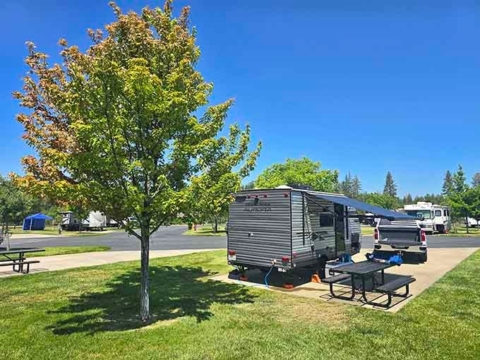 Modern-day prospectors stake their claims at Jackson's RV park, where the gold they seek is in the form of memories made under California's endless blue skies.