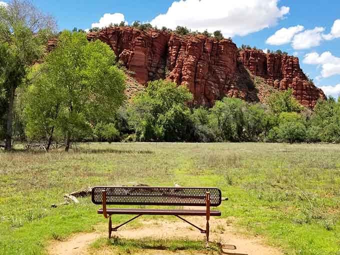 Sometimes the best view comes with a bench, proving that nature appreciation and comfortable seating aren't mutually exclusive concepts.