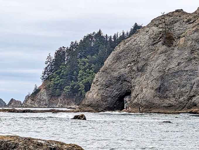 Forested cliffs meet rocky shores in a dramatic collision of ecosystems that defines the Pacific Northwest coast.