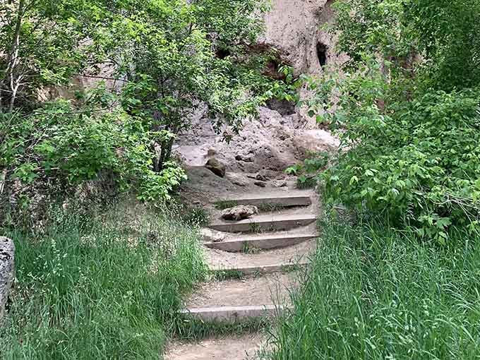 Stone steps leading upward through the canyon, proving that good things come to those who climb.