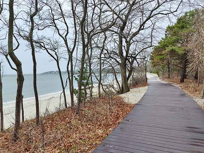 A boardwalk stroll here beats a treadmill workout any day, and the scenery's infinitely better too.