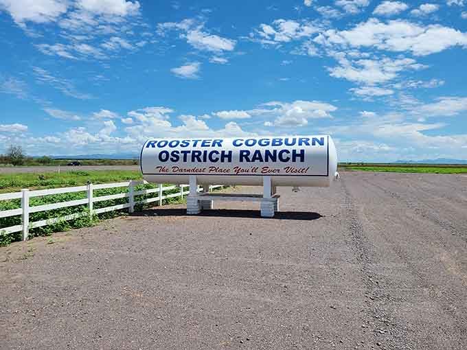 When you see this sign from the highway, your inner child immediately overrules any adult scheduling concerns.