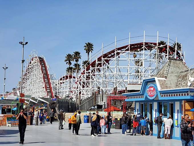 The Boardwalk buzzes with that perfect chaos that makes amusement parks feel alive and slightly dangerous.