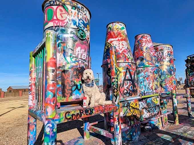 Even pets get in on the photo ops because Bug Ranch welcomes all creatures great, small, and Instagram-worthy.