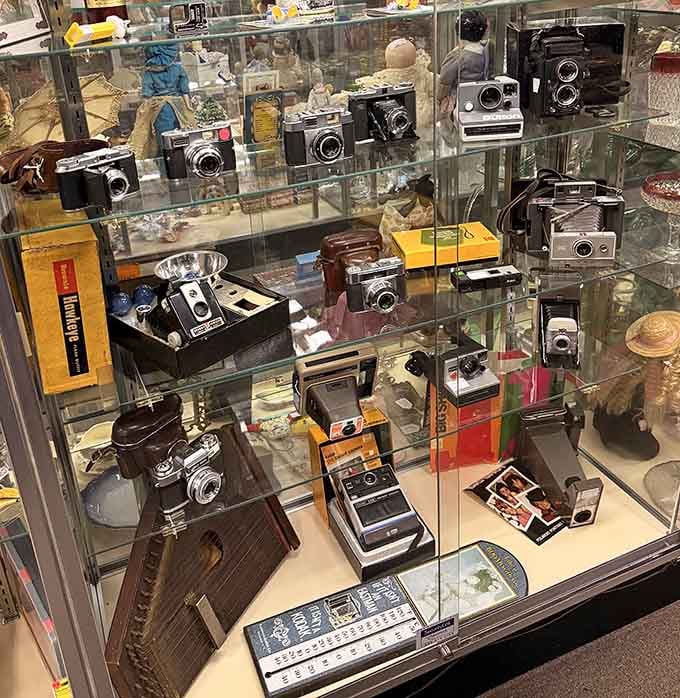 A photographer's dream collection, these vintage cameras captured countless family moments before digital took over everything.