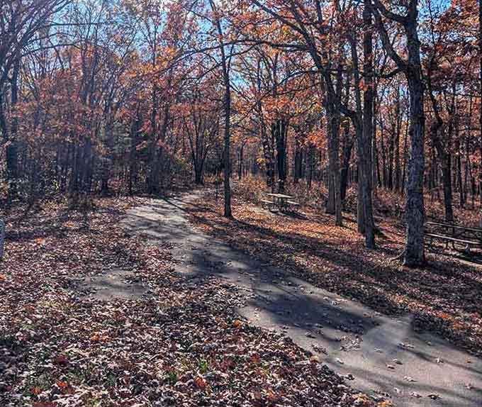 Autumn transforms these paths into a golden corridor, making every ride feel like a scenic tour.