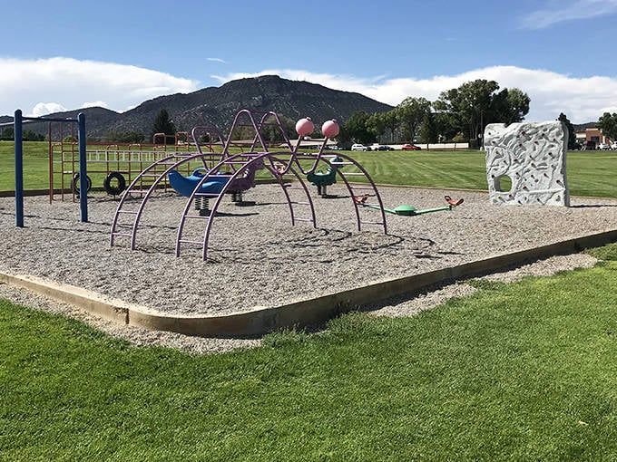 Steptoe Park's playground proves that sometimes the simplest entertainment&mdash;like climbing on metal spiders&mdash;still beats whatever new app the grandkids are trying to explain to you.