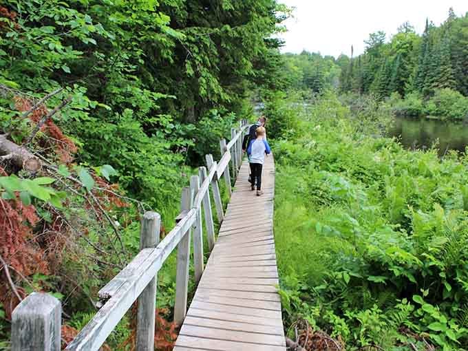 These wooden pathways lead you deeper into forest that feels like stepping into a storybook.