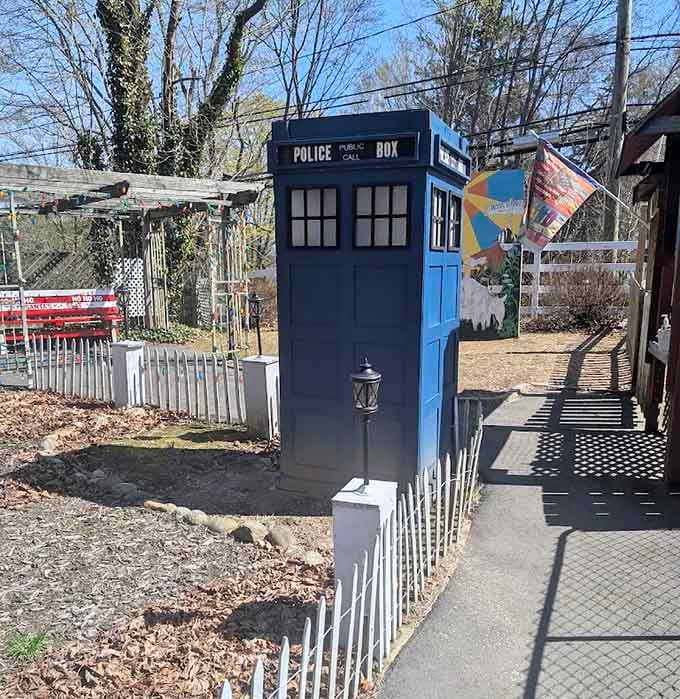 A TARDIS appears because apparently even Time Lords need affordable reading material for long journeys.