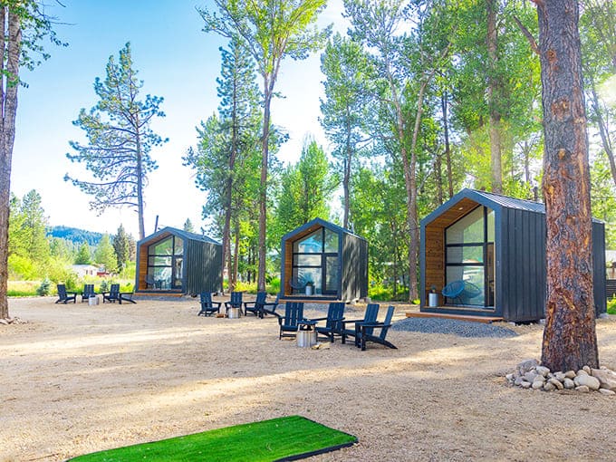 These modern tiny homes nestled among towering pines offer a perfect compromise: wilderness immersion with actual beds and indoor plumbing.