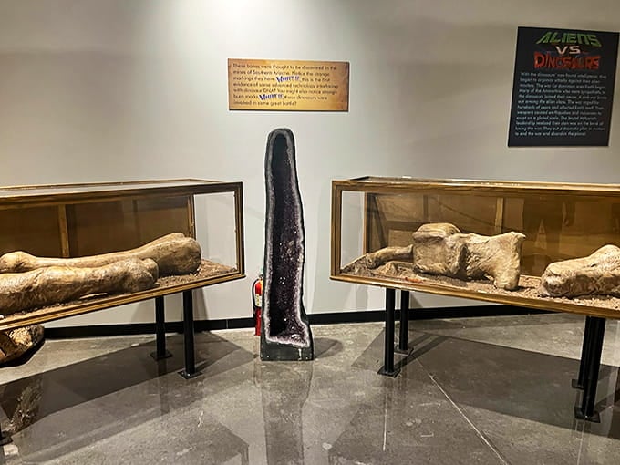 Dinosaur bones displayed like archaeological finds, making you feel like Indiana Jones without the boulder-dodging or Nazi-punching required.