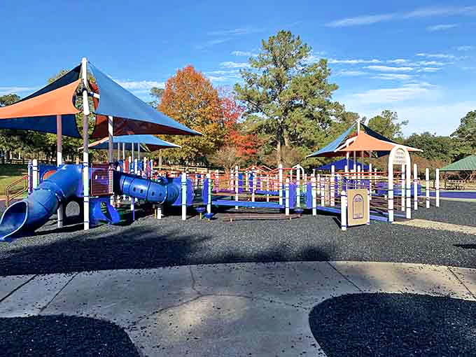 Tom Brown Park's playground equipment stands ready for tiny adventurers. Those blue tubes have witnessed more childhood joy than a Christmas morning.