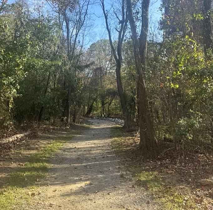 Sunlight dapples this inviting trail, beckoning hikers into the woods. The path whispers promises of discoveries just around the bend.