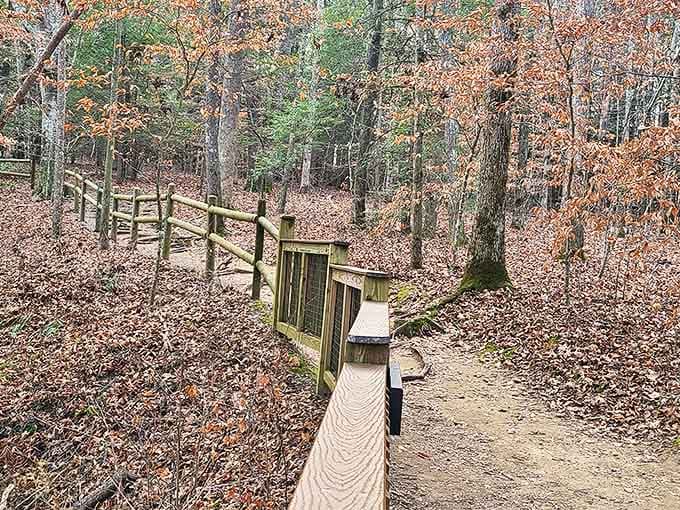 Autumn paints Burgess Falls in russet and gold, creating a trail experience that's half hike, half gallery walk through nature's finest seasonal exhibition.