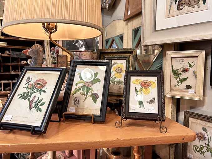 Botanical prints in mismatched frames prove that nature and nostalgia make the perfect decorating duo every single time.