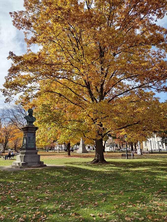 The Green in autumn becomes a masterpiece of gold and amber that no filter could improve.