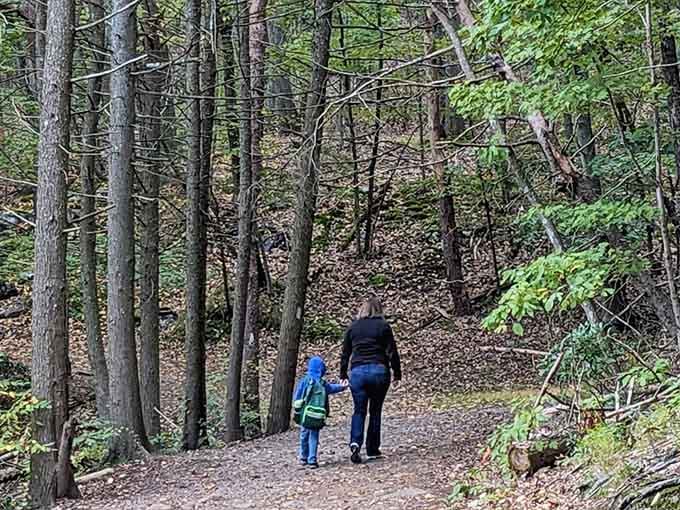 Trail hiking with tiny humans who haven't yet learned to complain about exercise, capturing childhood's fleeting outdoor enthusiasm perfectly.