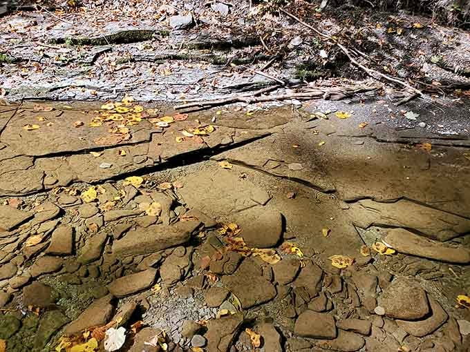 Ancient rock formations along the creek bed tell stories older than any history book could ever capture.